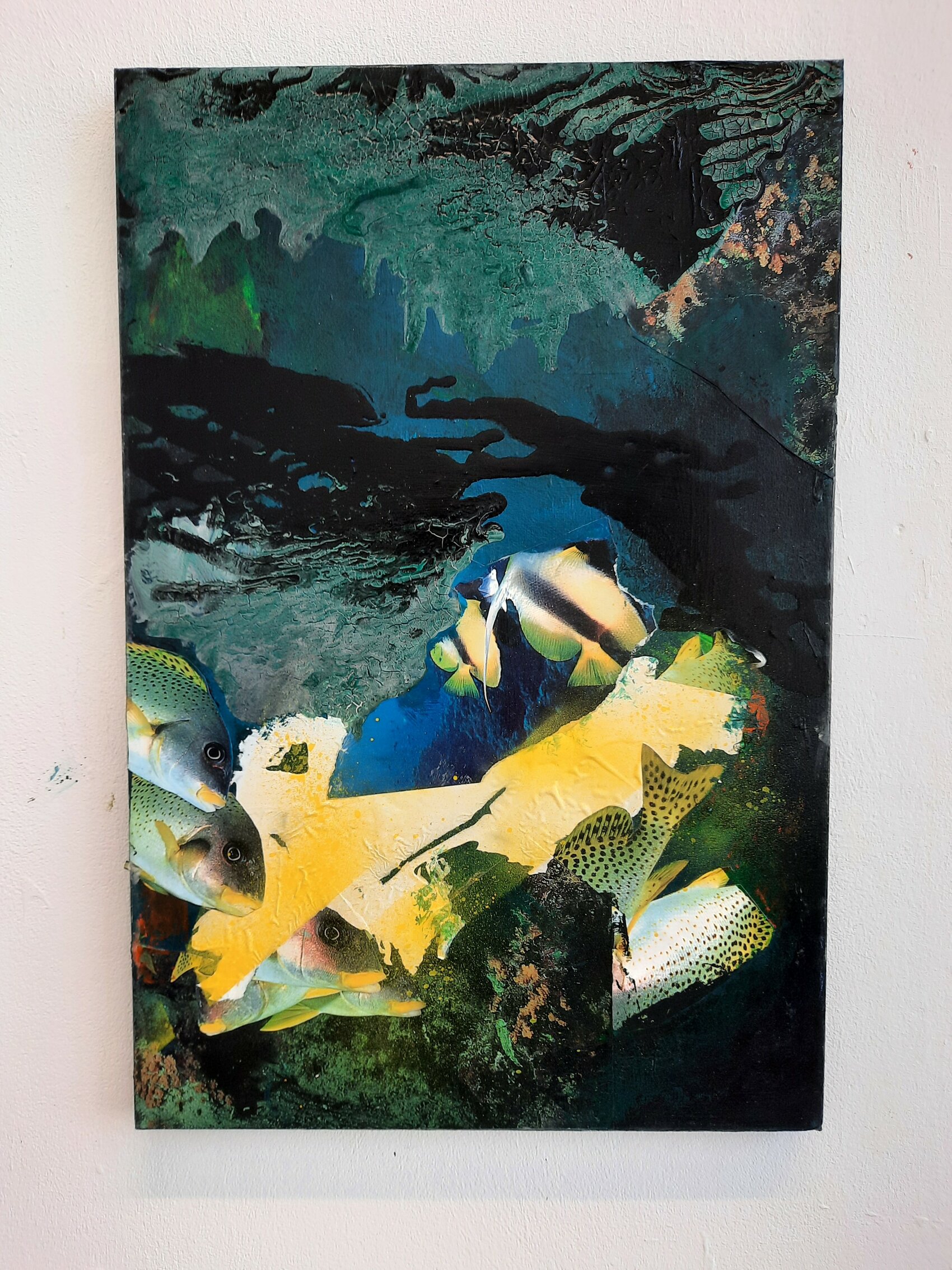 Onderwaterfauna | BEELD | Kunstwerkt